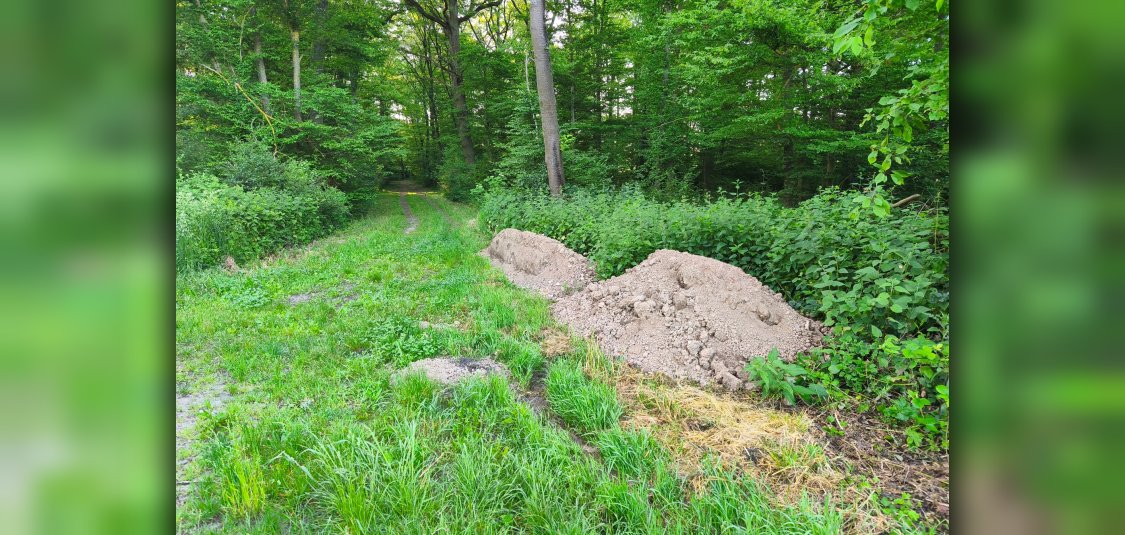 Entsorgung von illegalem Erdaushub im „Stau“ in Niederneisen ...